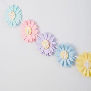 Daisy Monthly Photo Banner, Daisy Pastel Flower Banner, First Birthday ...