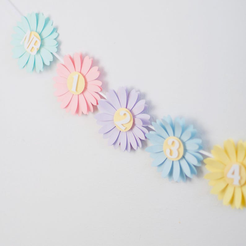 Daisy Monthly Photo Banner, Daisy Pastel Flower Banner, First Birthday ...