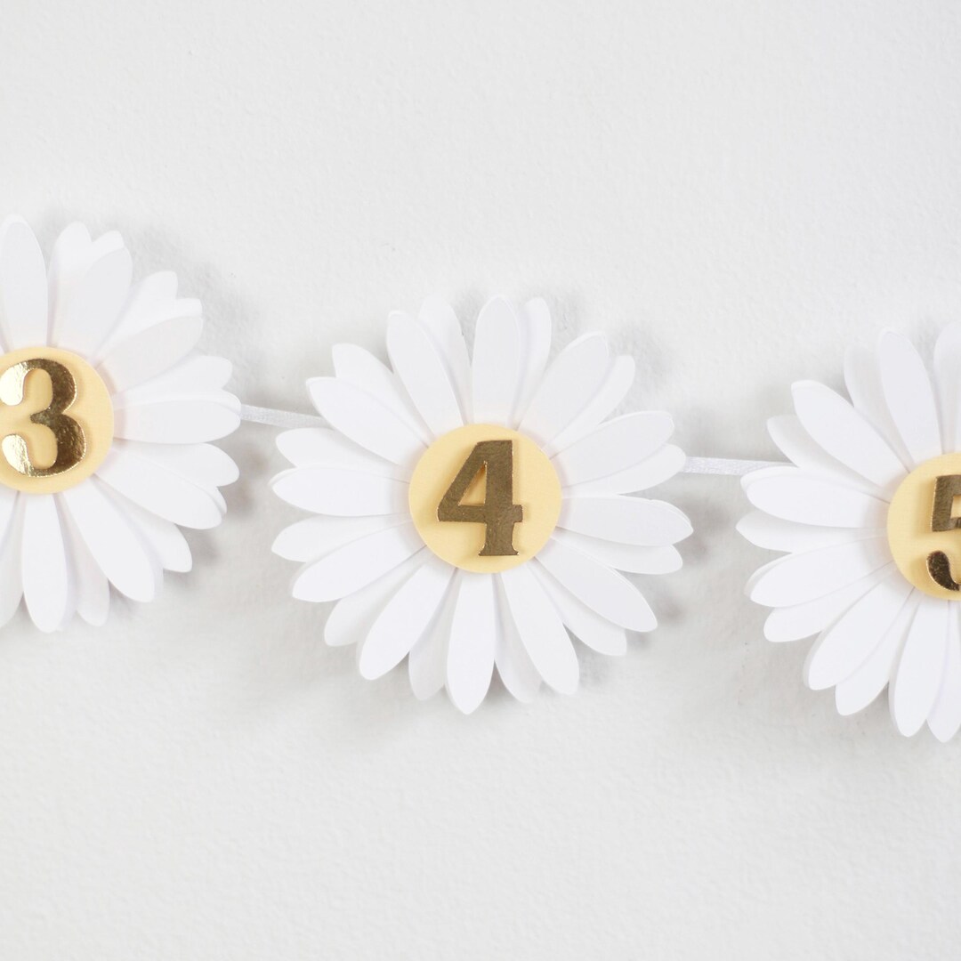 Daisy Monthly Photo Banner, Daisy Flower Banner, First Birthday ...