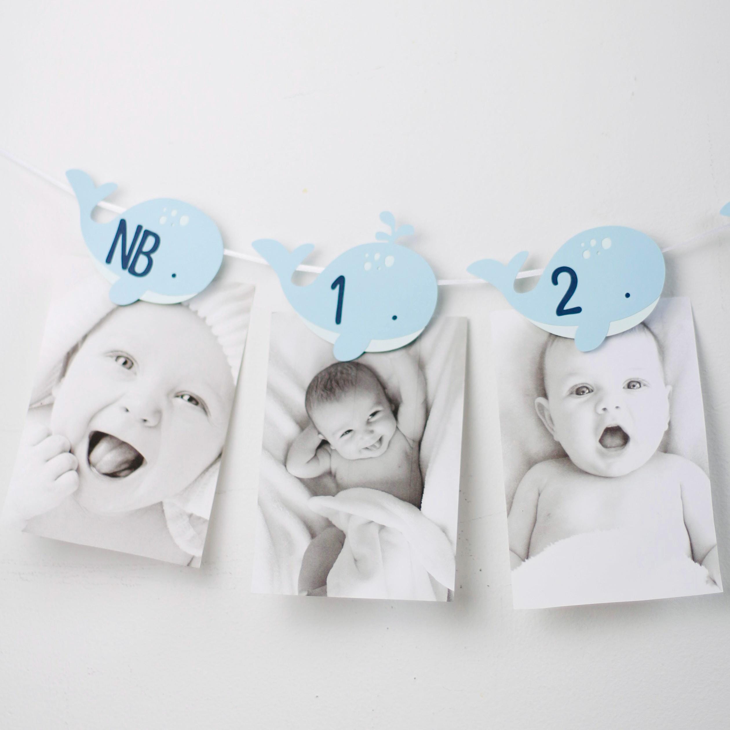 Whale Photo Banner, Photo Banner, Boy First Birthday Decor, Milestone ...