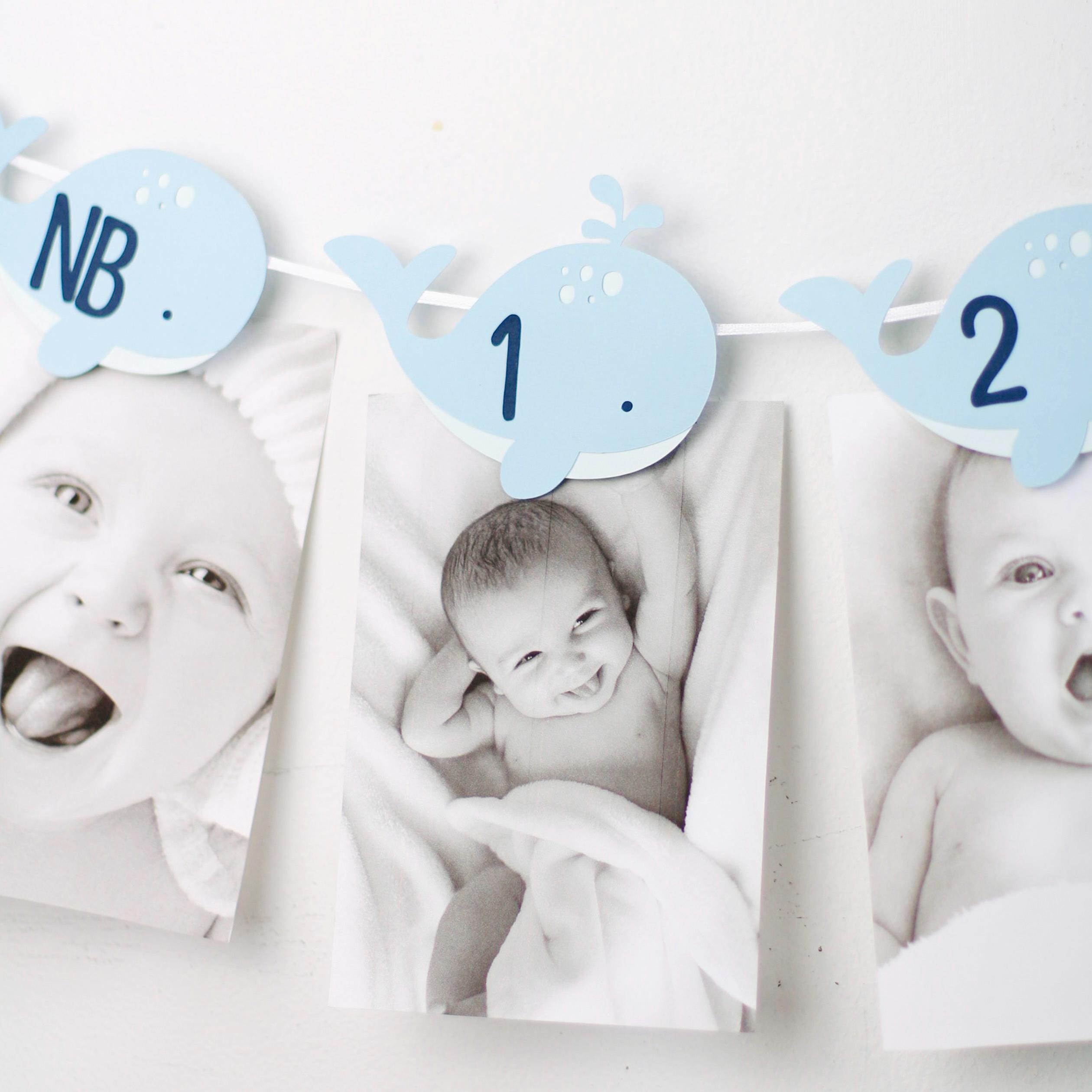 Whale Photo Banner, Photo Banner, Boy First Birthday Decor, Milestone ...