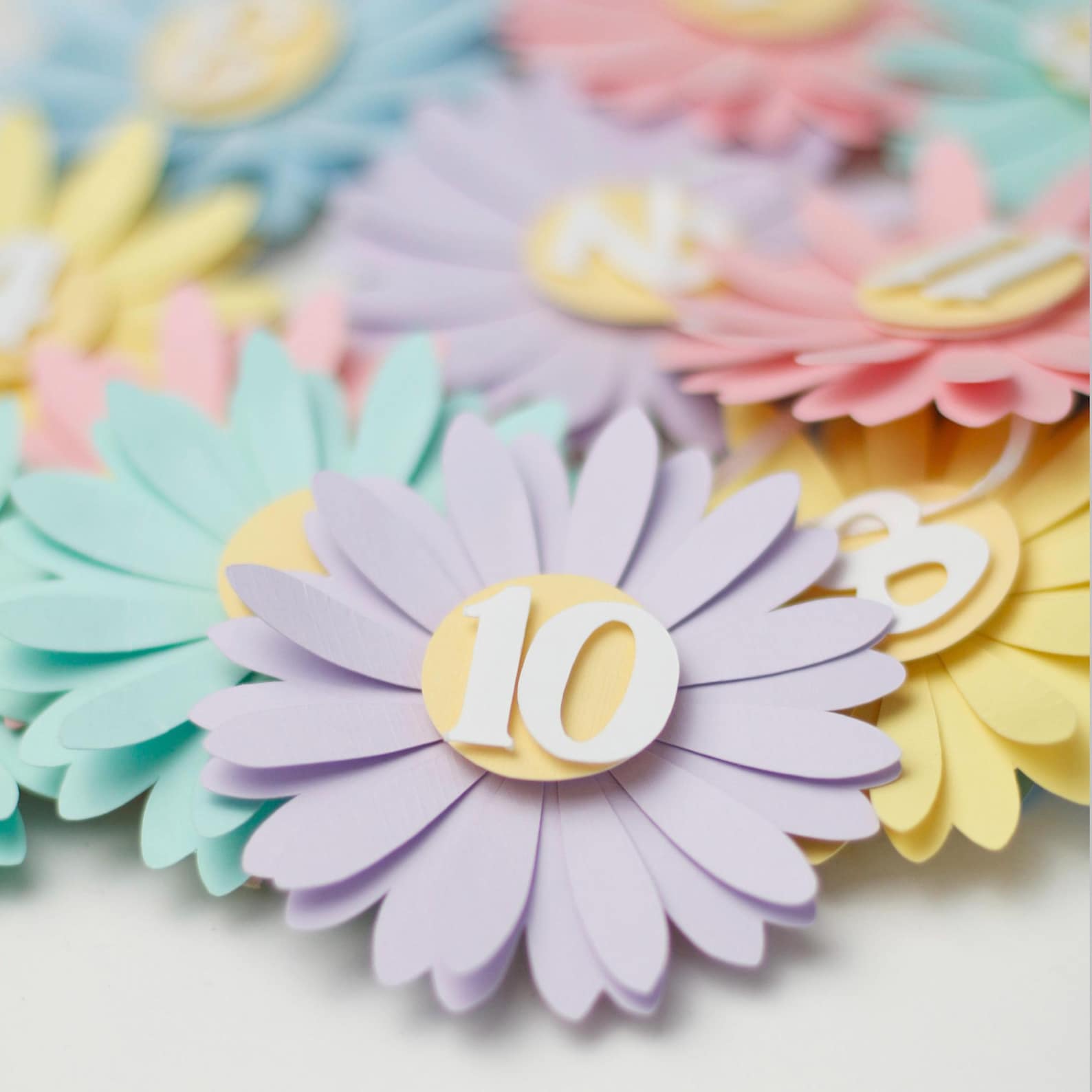 Daisy Monthly Photo Banner, Daisy Pastel Flower Banner, First Birthday ...