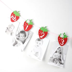 Berry First Birthday Banner, Berry First Birthday Month Photo Banner ...