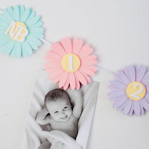 Daisy Monthly Photo Banner, Daisy Pastel Flower Banner, First Birthday ...