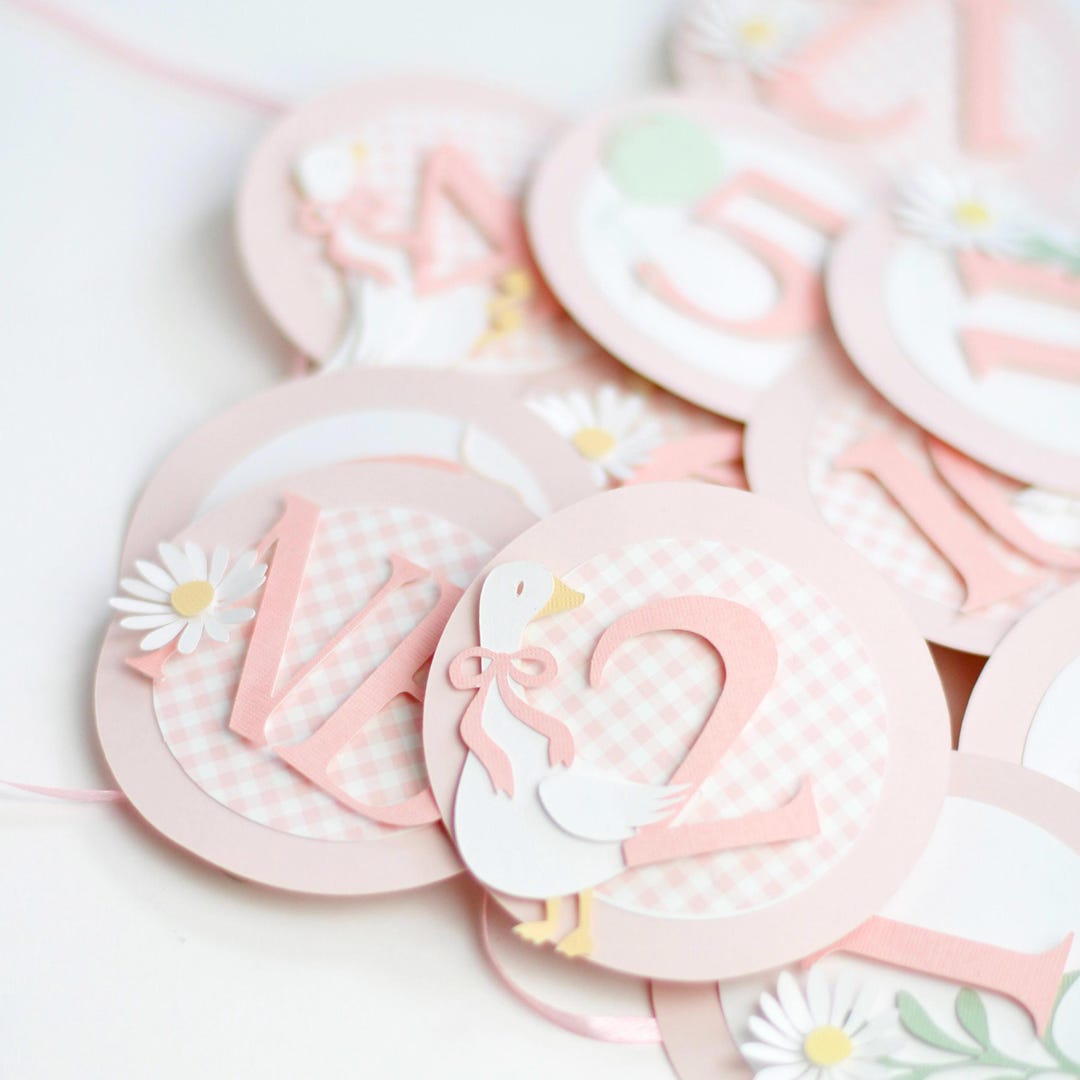 One Silly Goose Monthly Photo Banner, Goose 1st Birthday, Goose Theme ...