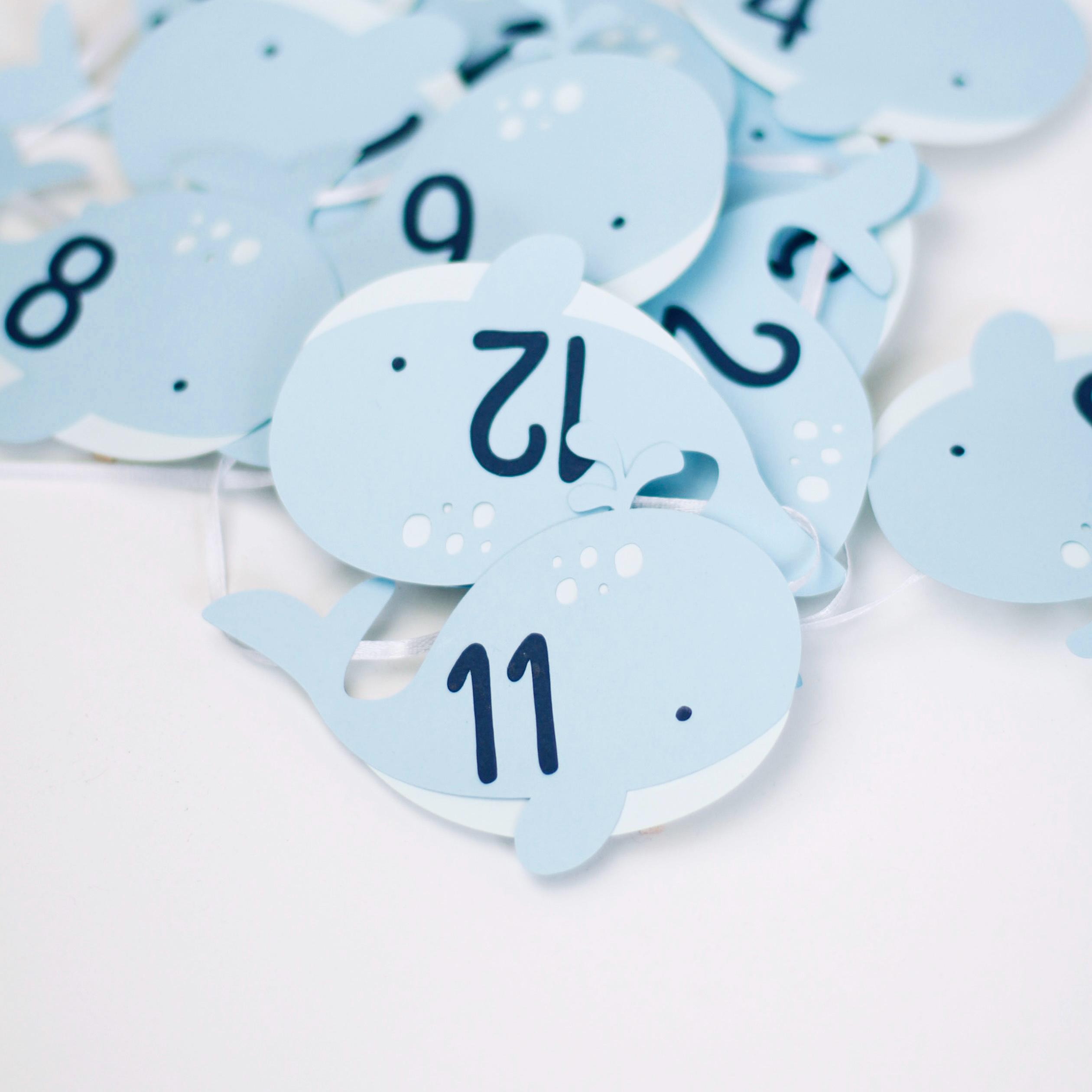 Whale Photo Banner, Photo Banner, Boy First Birthday Decor, Milestone ...