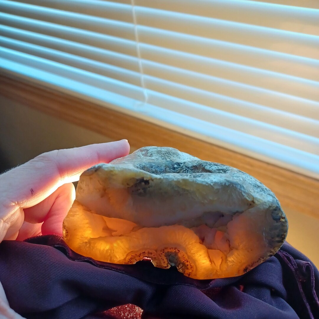 Montana Treasure State Agate Yellowstone River Polished Specimen 13.4 ...