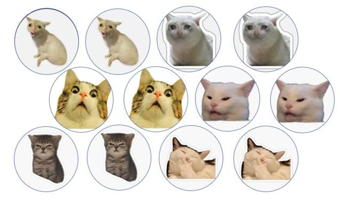 12 X Cat Meme Themed Edible Cupcake & Cocktail Toppers - Etsy