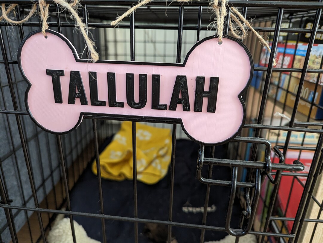 Customizable Dog Bone Plaque Handmade Pet Name Sign for Dogs Vibrant ...