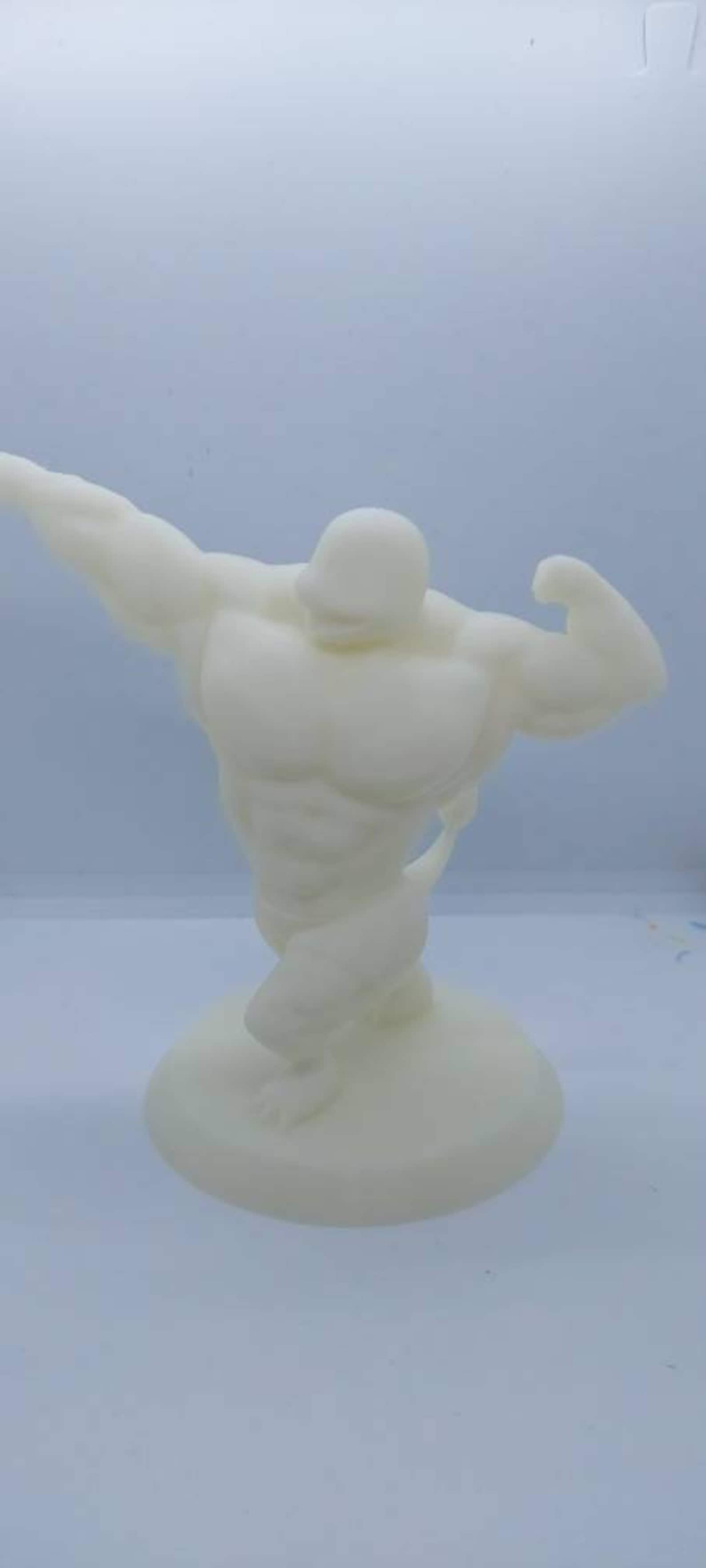 Ultra Swole Pokemon Figure Pikachu Diglett Bulbasaur | Etsy