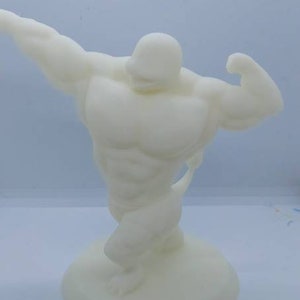 Ultra Swole Pokemon Figure Pikachu Diglett Bulbasaur Charmader Squirtle ...