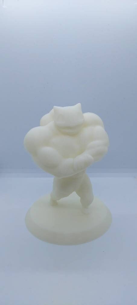 Ultra Swole Pokemon Figure Pikachu Diglett Bulbasaur | Etsy