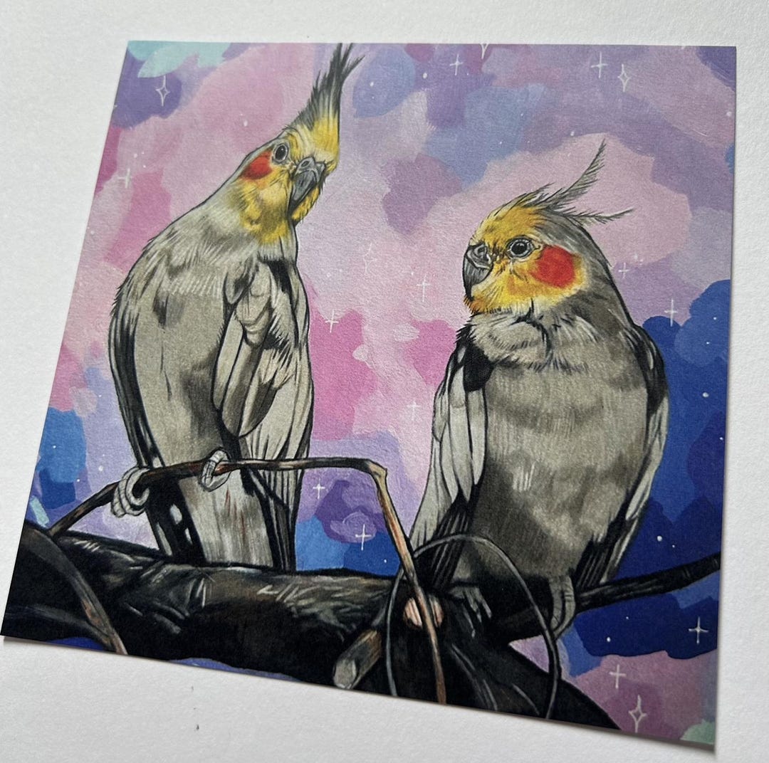Cockatiel Wall Art | Soft Pastel Bird Drawings | Original Cockatiel ...