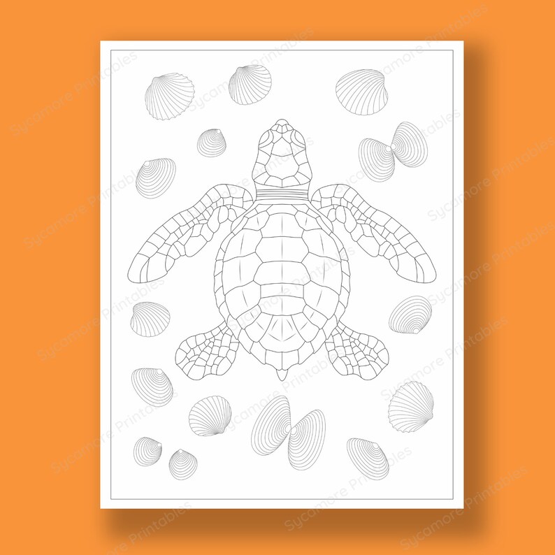 6 Baby Sea Turtle Colouring Pages, Printable Colouring Pages, PDF ...