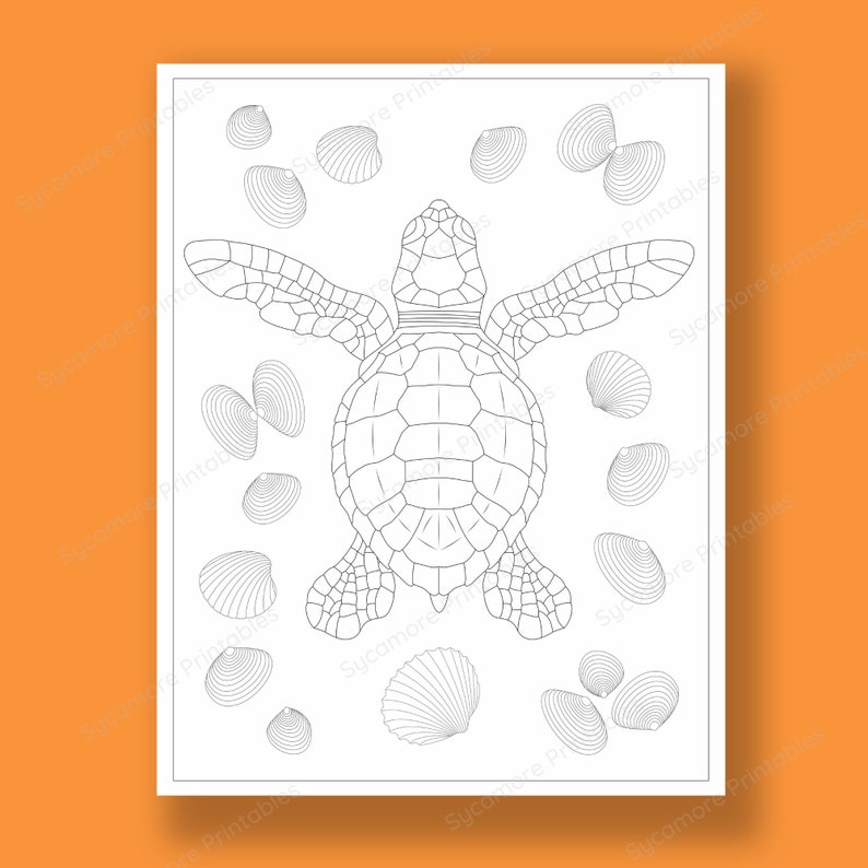 6 Baby Sea Turtle Colouring Pages, Printable Colouring Pages, PDF ...