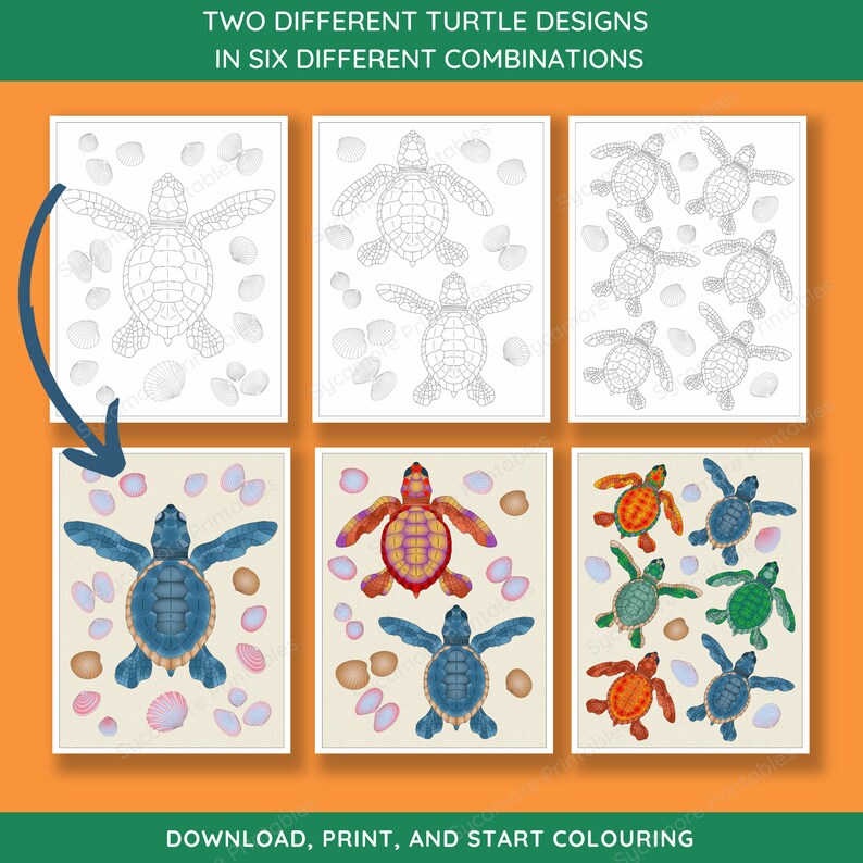 6 Baby Sea Turtle Colouring Pages, Printable Colouring Pages, PDF ...