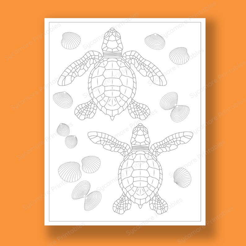 6 Baby Sea Turtle Colouring Pages, Printable Colouring Pages, PDF ...