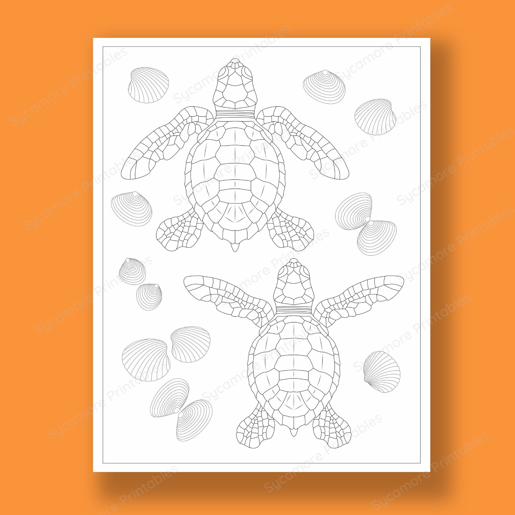 6 Baby Sea Turtle Colouring Pages, Printable Colouring Pages, PDF ...