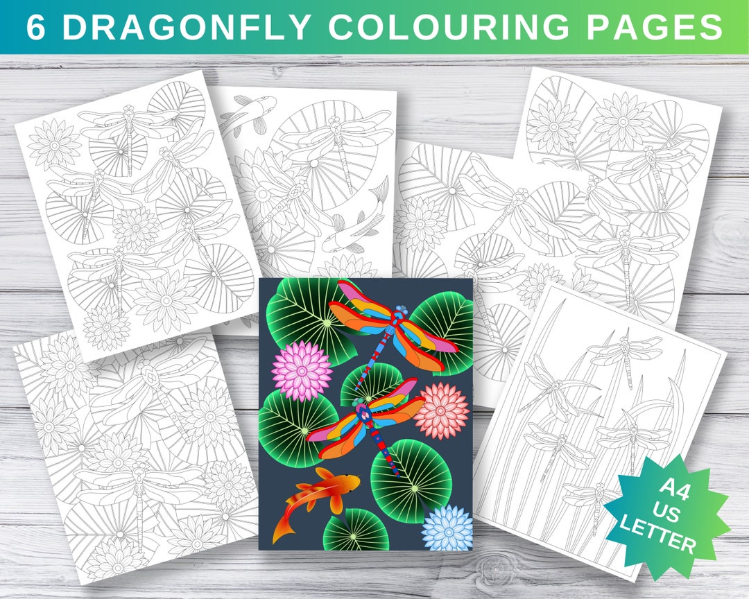 Dragonfly Colouring Pages, Printable Colouring Pages, PDF, US Letter ...