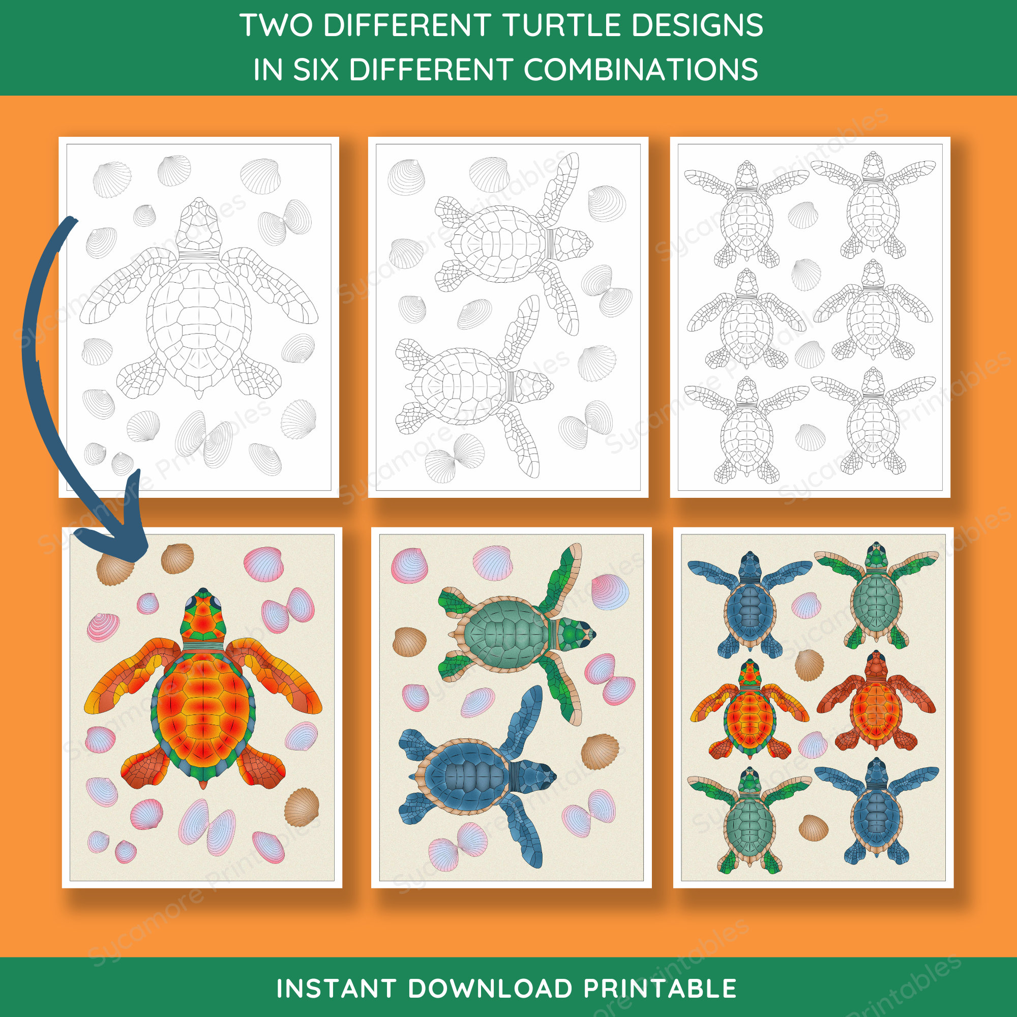 6 Baby Sea Turtle Colouring Pages, Printable Colouring Pages, PDF ...