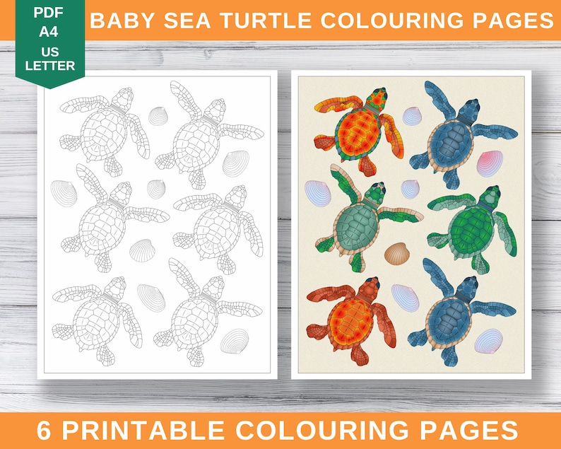 6 Baby Sea Turtle Colouring Pages, Printable Colouring Pages, PDF ...