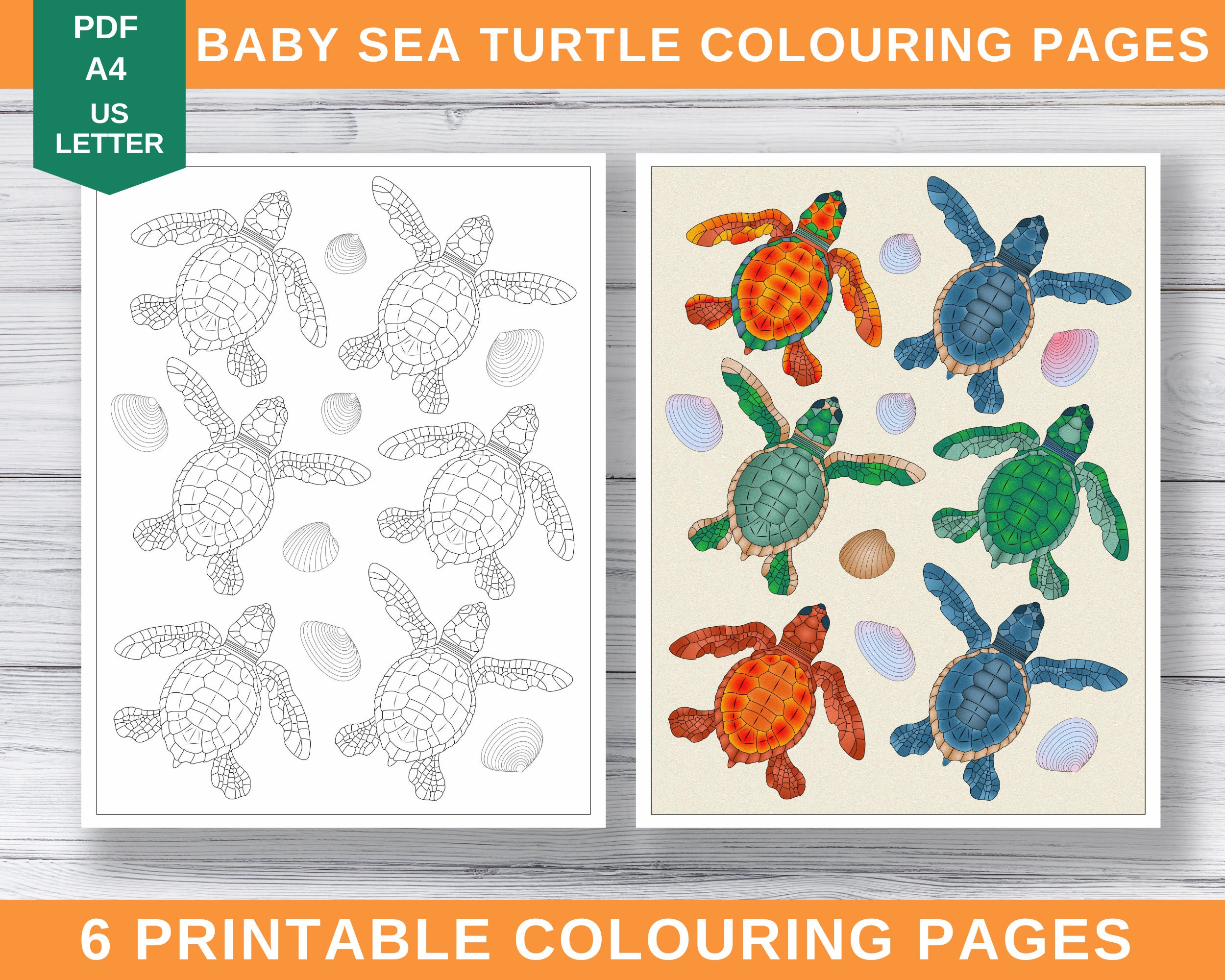 6 Baby Sea Turtle Colouring Pages, Printable Colouring Pages, PDF ...