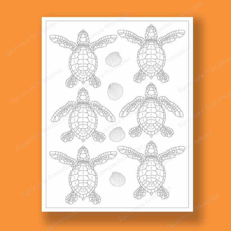 6 Baby Sea Turtle Colouring Pages, Printable Colouring Pages, PDF ...
