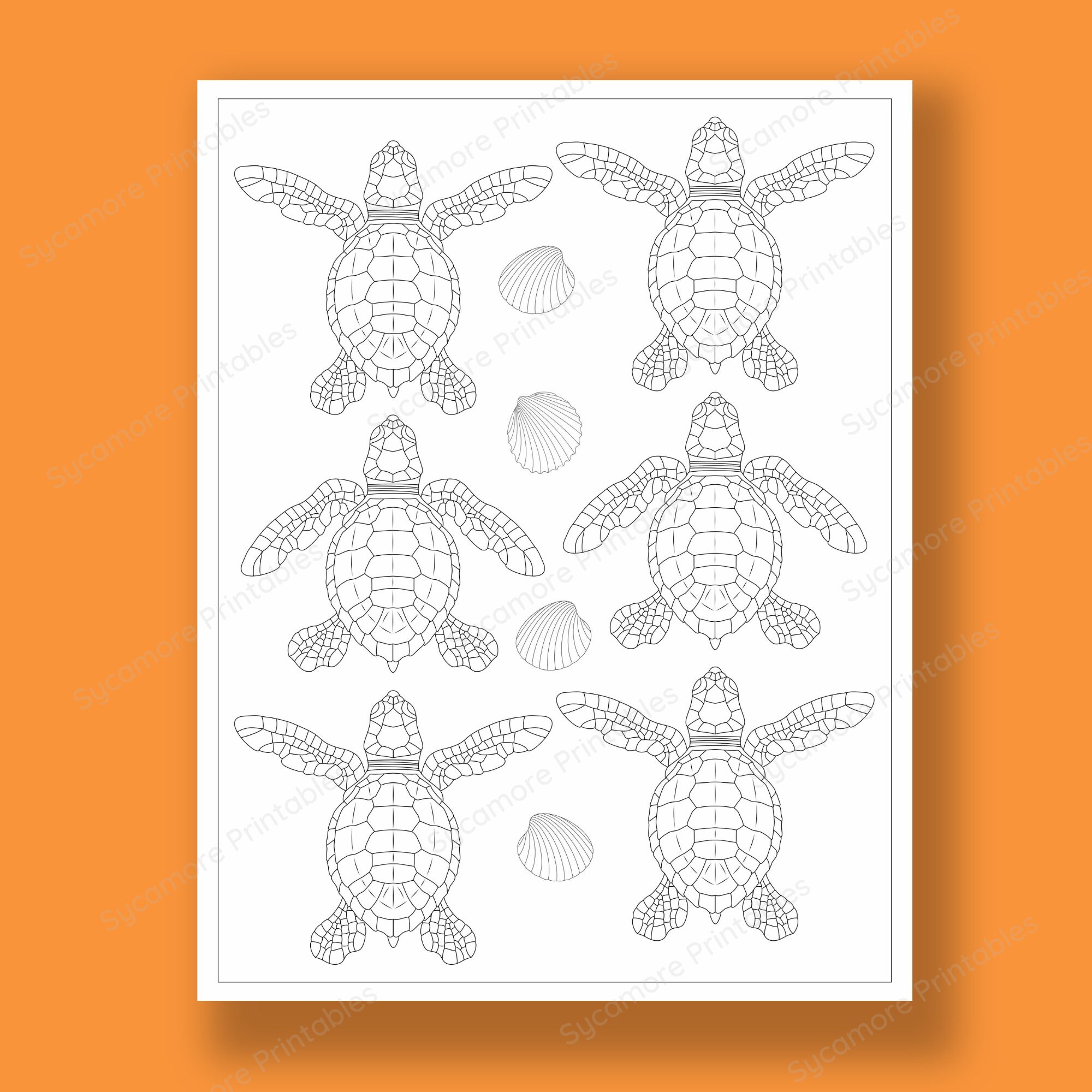 6 Baby Sea Turtle Colouring Pages, Printable Colouring Pages, PDF ...