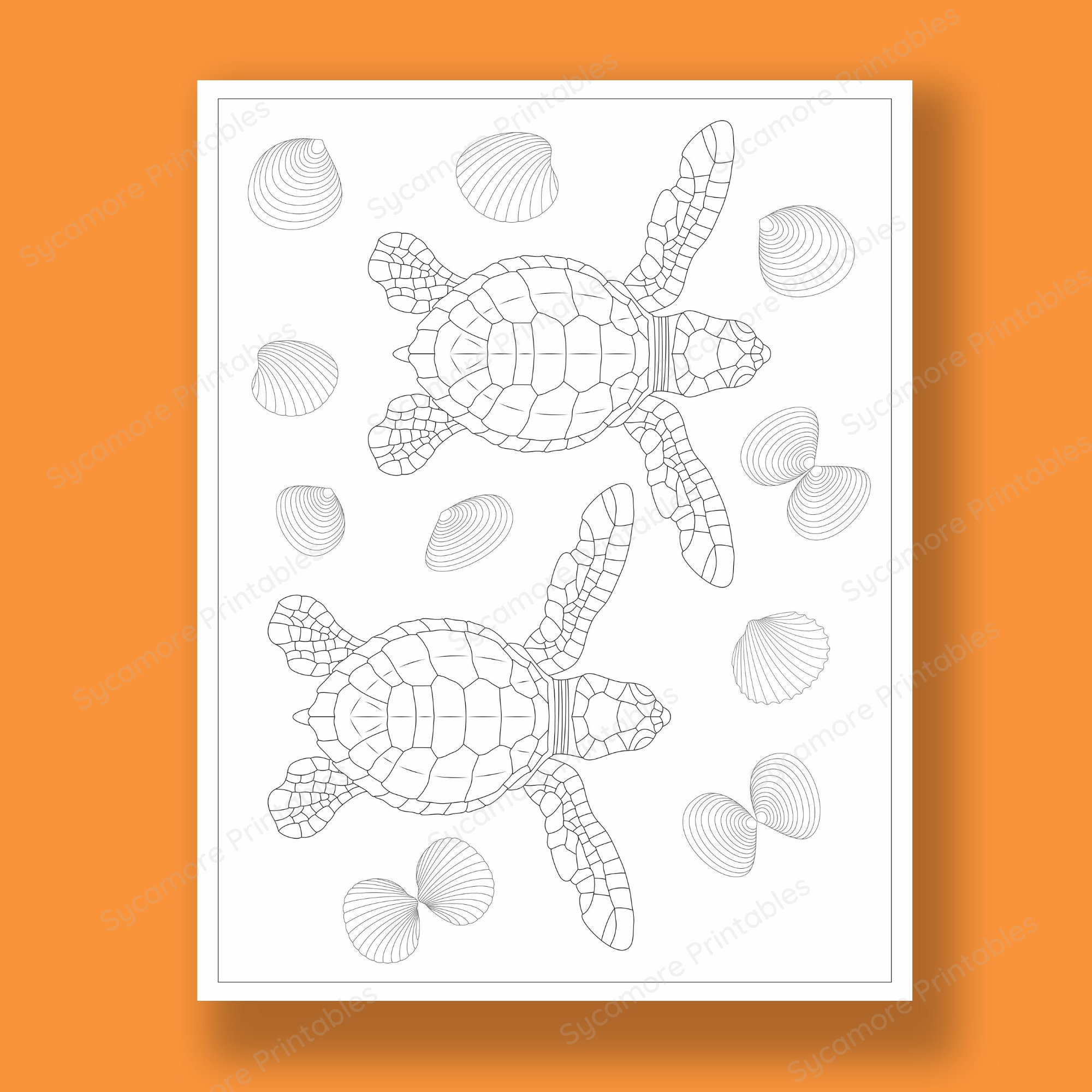 6 Baby Sea Turtle Colouring Pages, Printable Colouring Pages, PDF ...