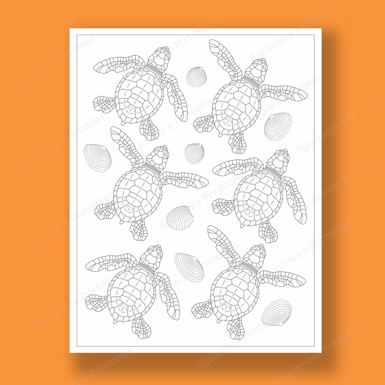6 Baby Sea Turtle Colouring Pages, Printable Colouring Pages, PDF ...