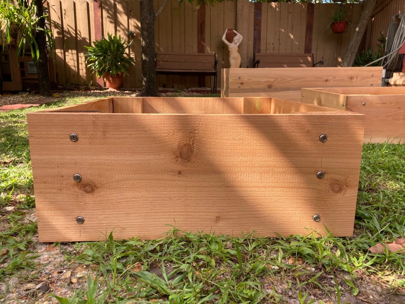 Raised Garden Bed-3x6 Cedar Garden Bed-gardening Planters-vegetables ...