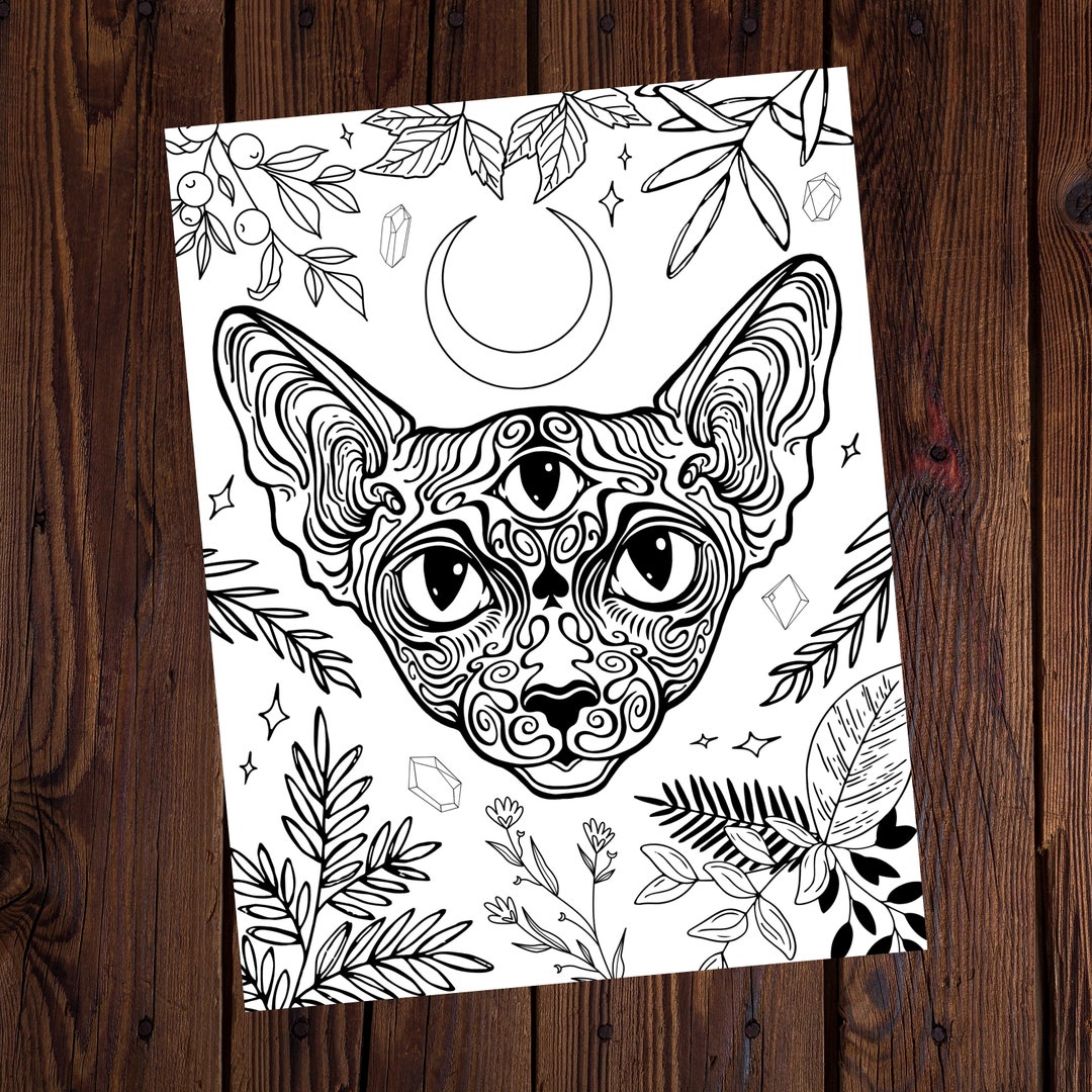 Magic Sphynx Cat Printable Coloring Page-sphynx Cat- Witchy Coloring ...