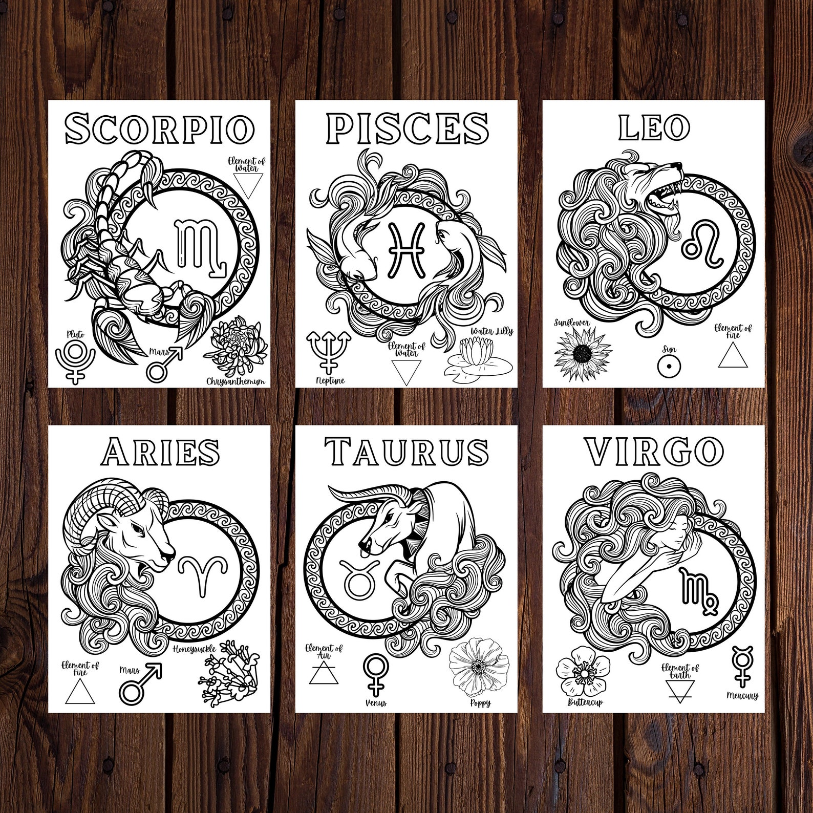 12 Page Zodiac Coloring Pages-astrology Coloring Pages-zodiac - Etsy