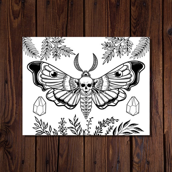 Death Moth Coloring Page-goth Style Coloring Page-witchy - Etsy