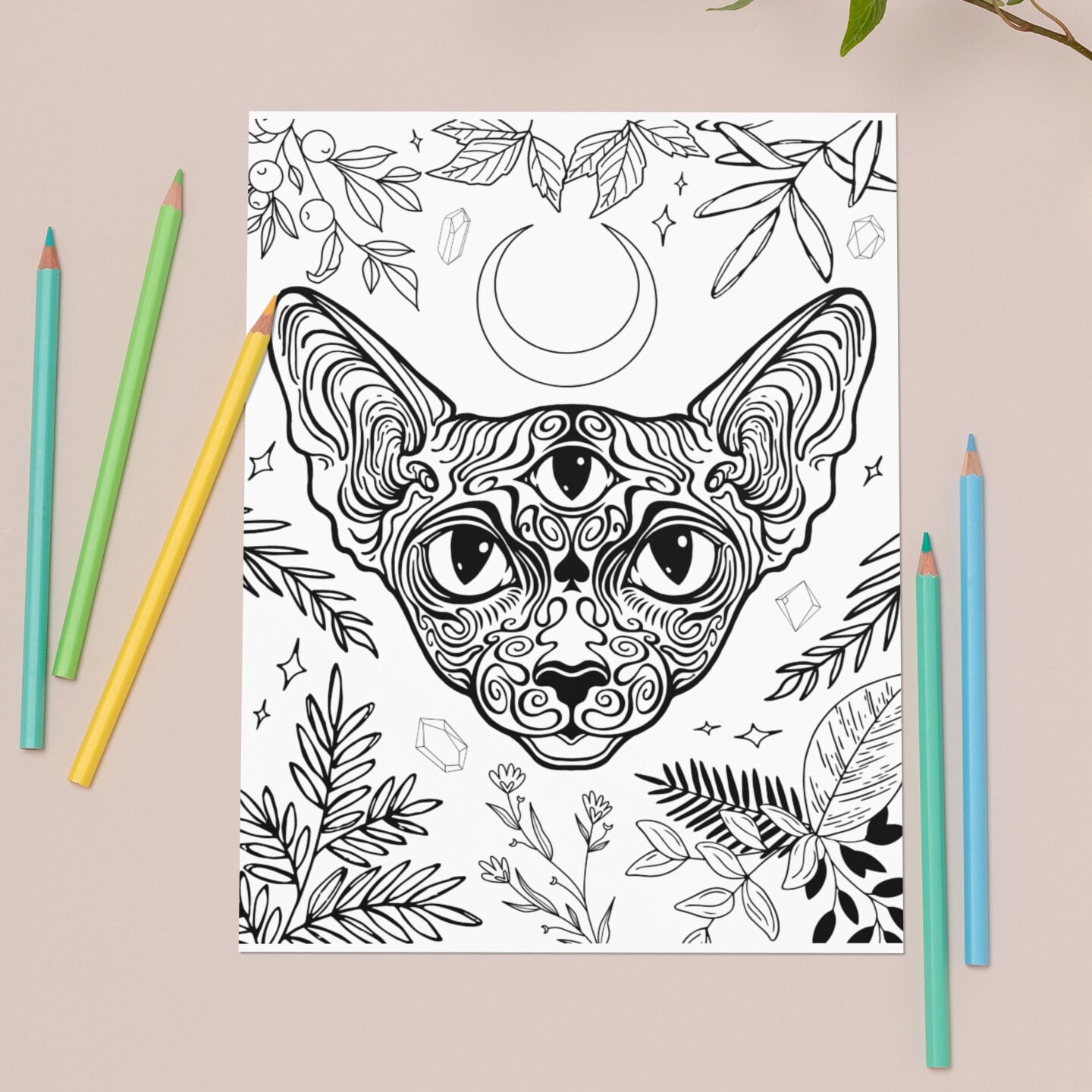 Magic Sphynx Cat Printable Coloring Page-sphynx Cat Witchy | Etsy Australia