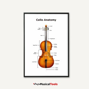 Cello Anatomy Poster. Cello Parts. Classical Music Instrument. High ...