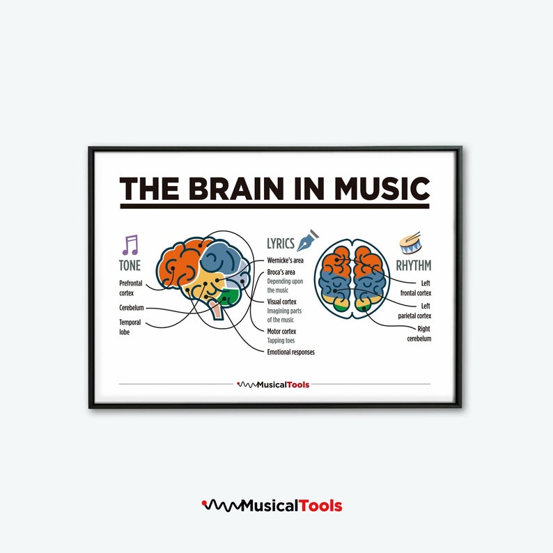 The Brain in Music Printable Poster. - Etsy