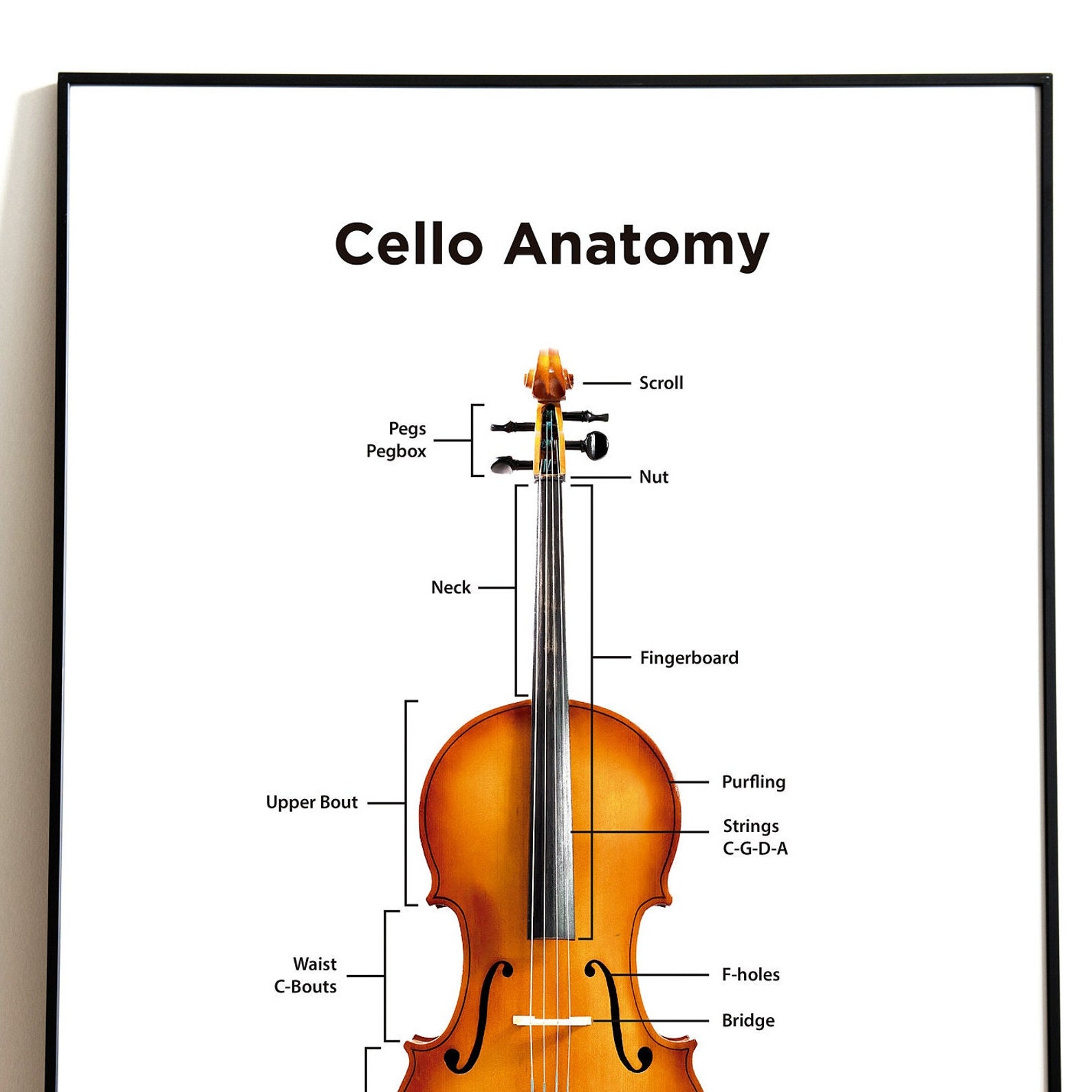 Cello Anatomy Poster. Cello Parts. Classical Music Instrument. High ...