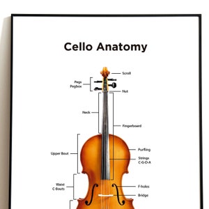 Cello Anatomy Poster. Cello Parts. Classical Music Instrument. High ...