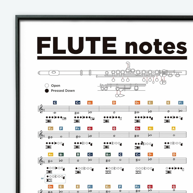 Flute Fingerings Chart: Transverse Flute Notes Poster (printable) - Etsy