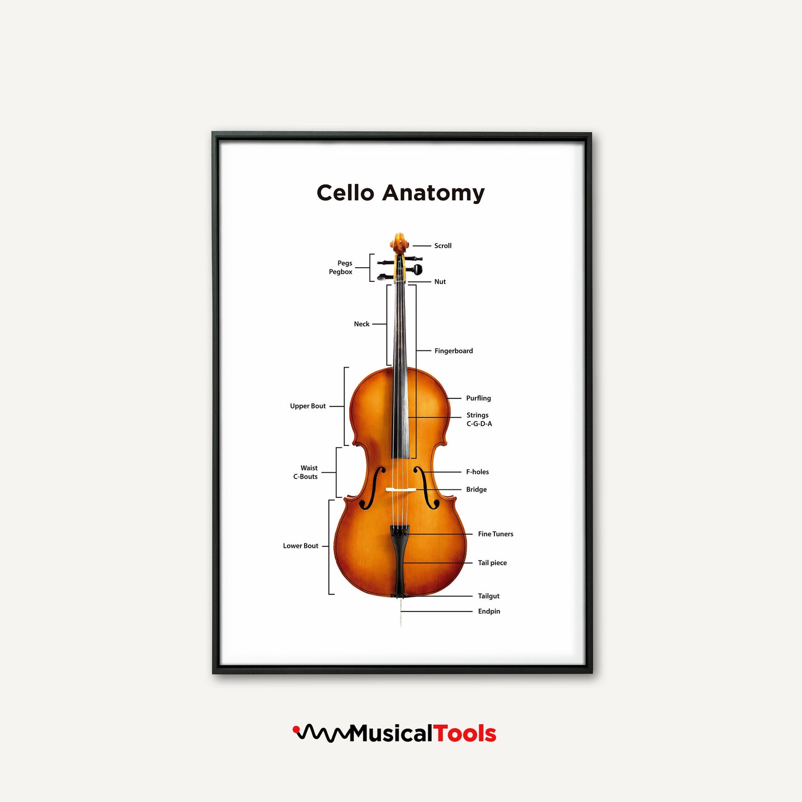 Cello Anatomy Poster. Cello Parts. Classical Music Instrument. High ...