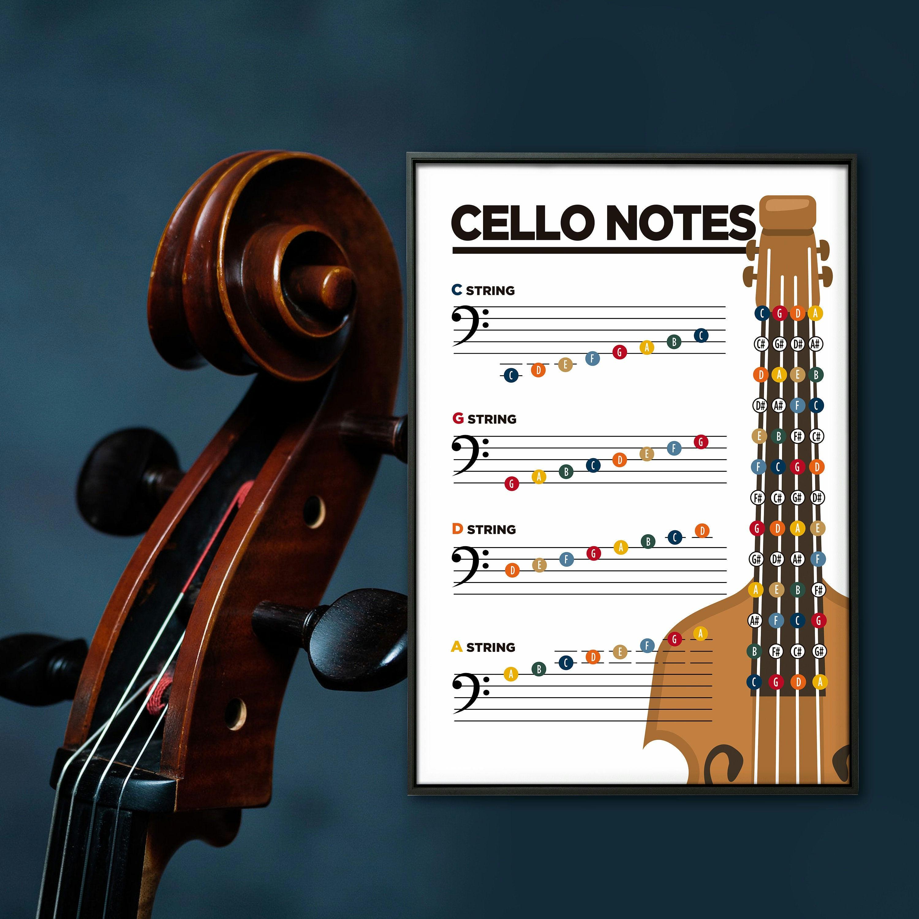 Cello Notes Music Theory Printable Poster. Learn Cello Notes. Cello ...