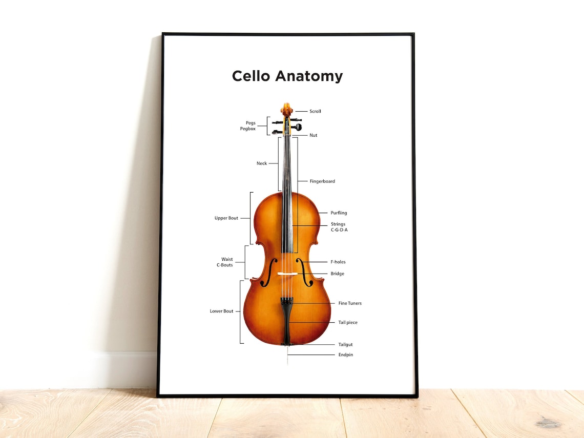 Cello Anatomy Poster. Cello Parts. Classical Music Instrument. | Etsy