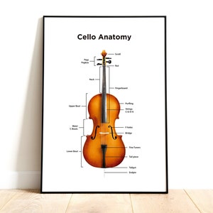 Cello Anatomy Poster. Cello Parts. Classical Music Instrument. | Etsy
