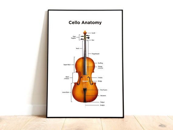 Cello Anatomy Poster. Cello Parts. Classical Music Instrument. | Etsy