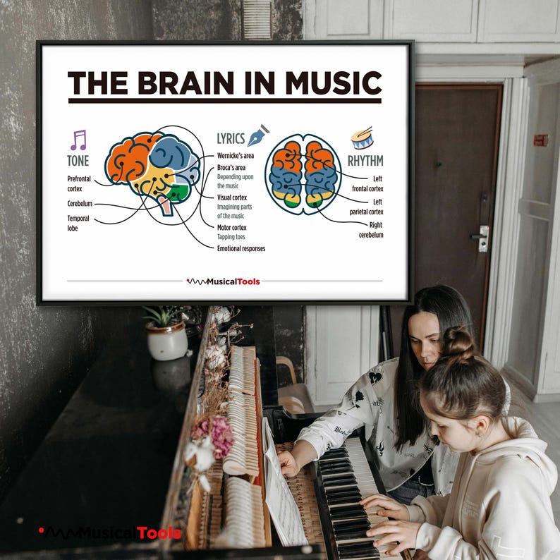 The Brain in Music Printable Poster. - Etsy
