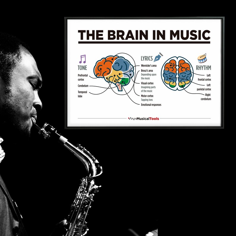 The Brain in Music Printable Poster. - Etsy