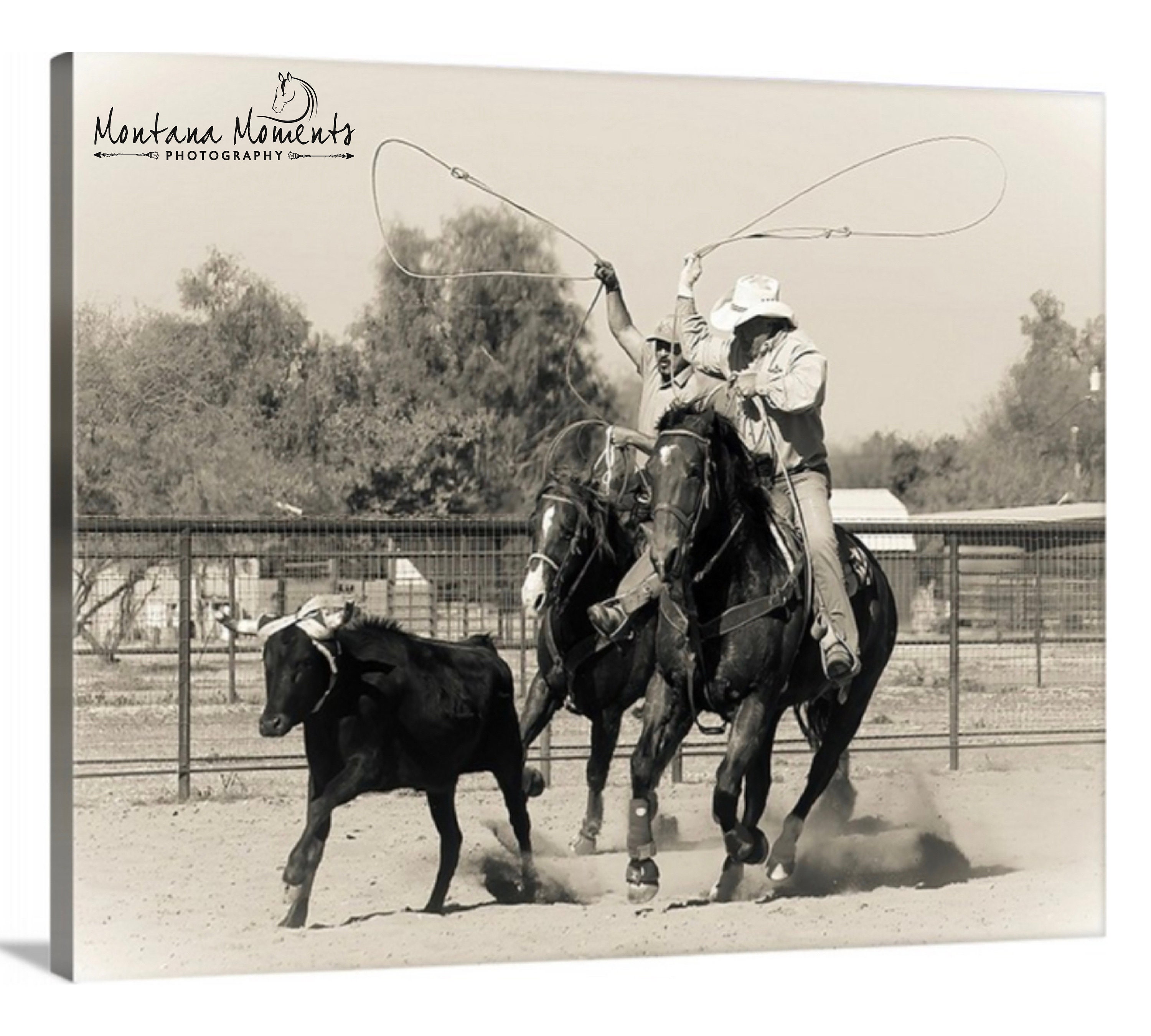 Team Roping Rodeo, Calf Roping, Cowboy Rodeo Photos, Horse Wall Art ...