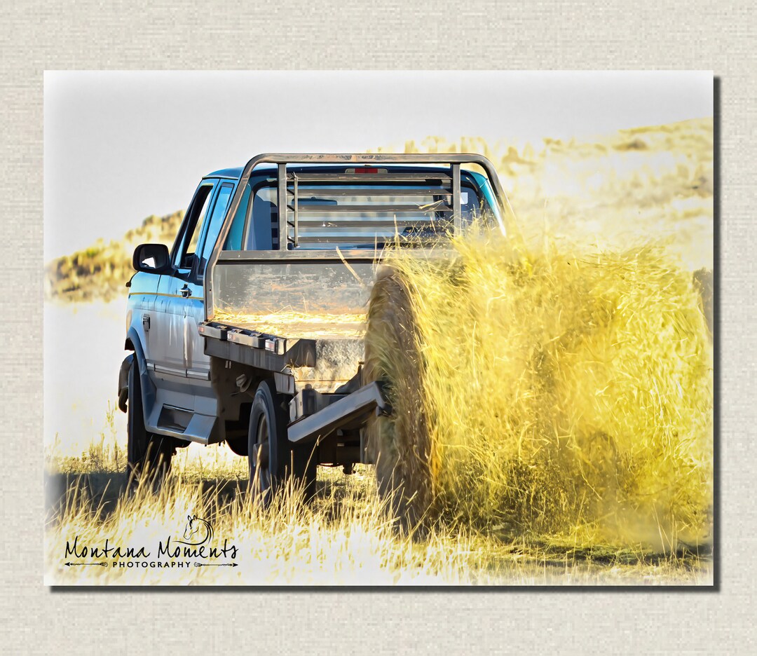 Ranch Hay Photo, Round Hay Bale, Cattle Ranch Wall Prints, Feeding Cows ...