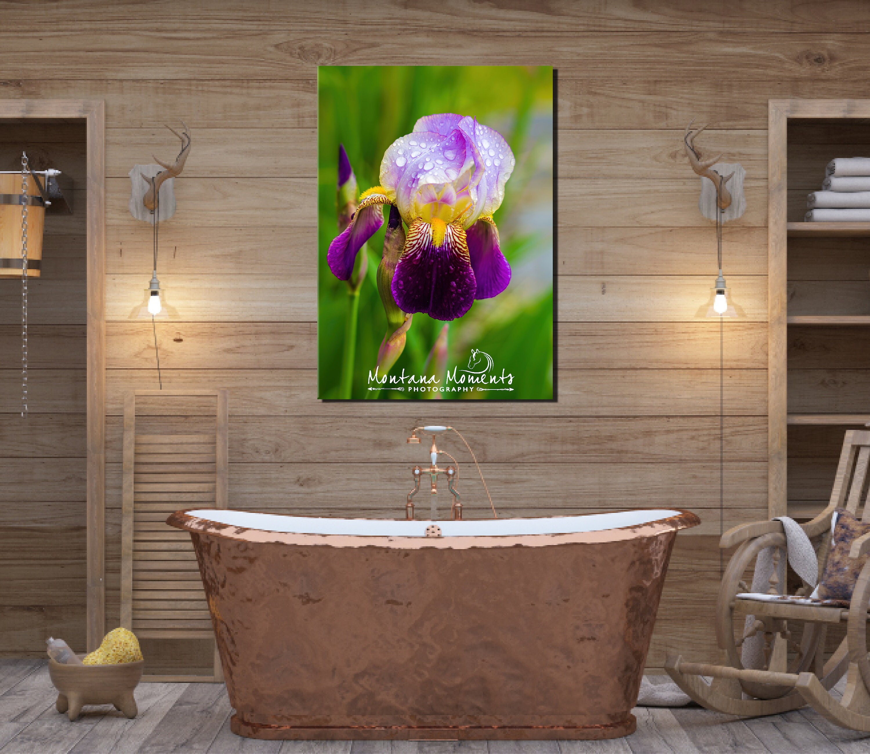 Purple Iris, Purple Flower Home Decor, Iris Photos, Purple Flowers ...
